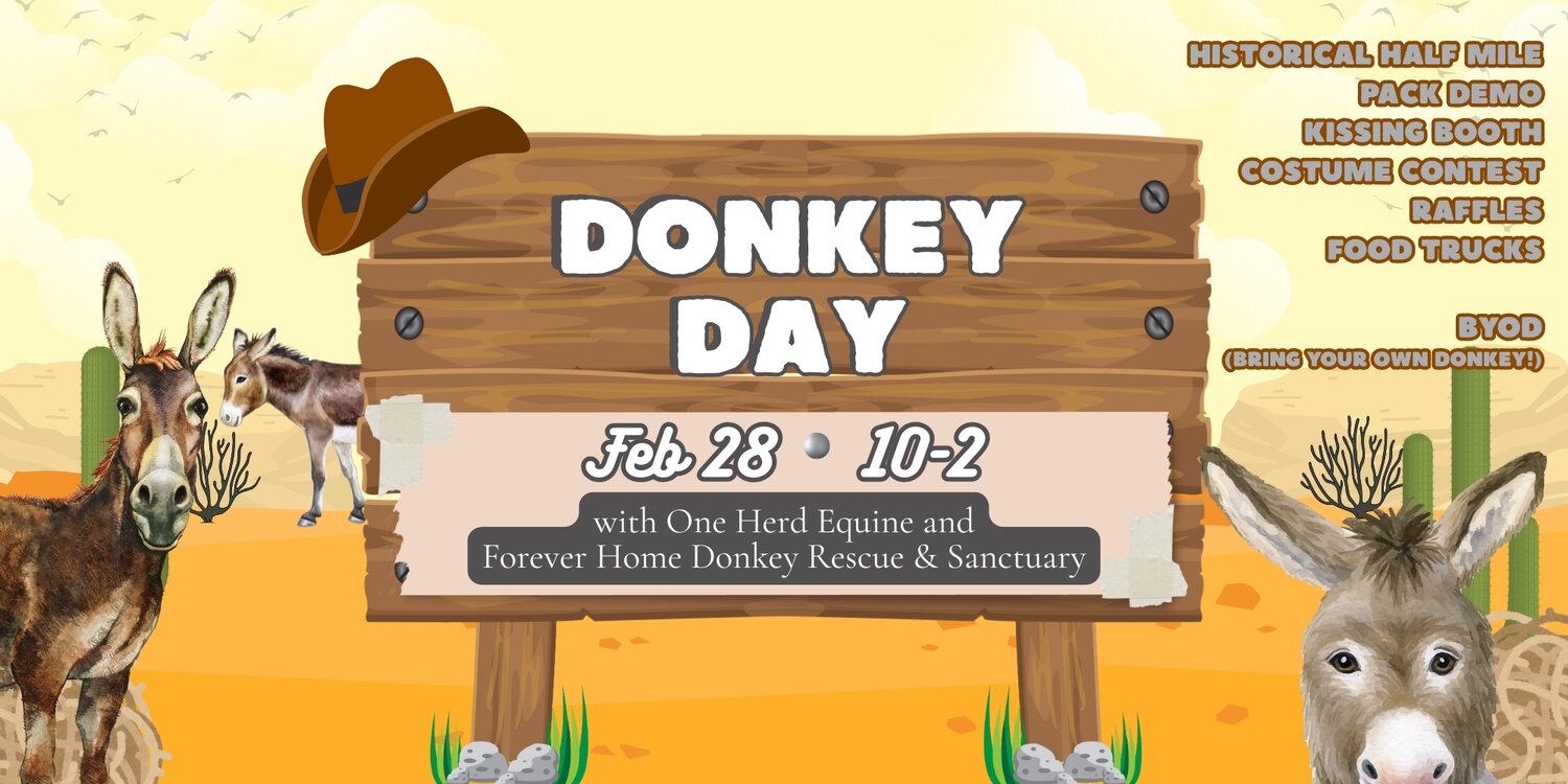 Donkey Day at the Superstition Mountain Lost Dutchman Museum - Fountain ...